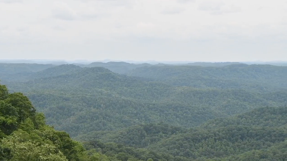 Kentucky Court of Justice - Kentucky Court of Justice